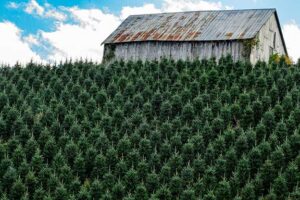 Plan Your Visit | Visit Grayson County Virginia