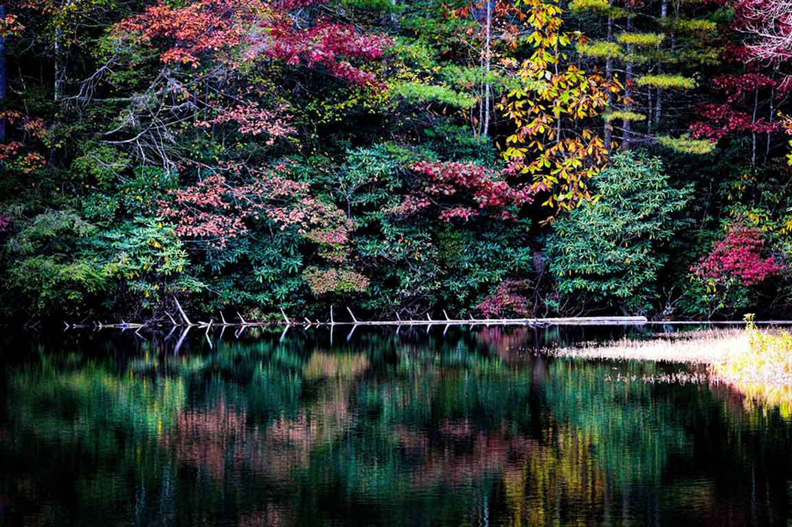 Gallery | Visit Grayson County Virginia