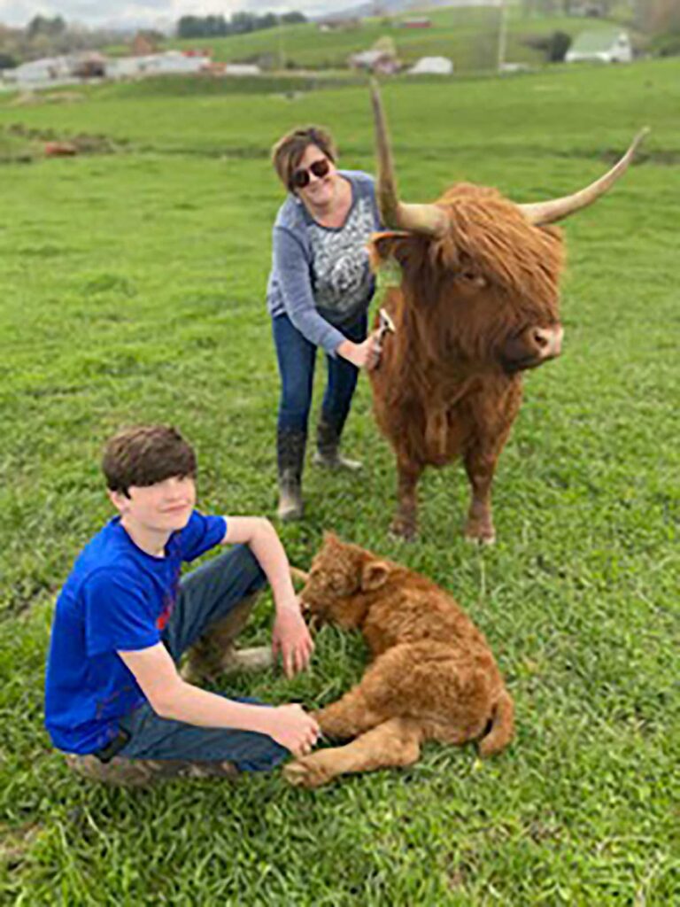 New River Highland Cattle Farm - Andy & Lorri Anderson | Visit Grayson ...