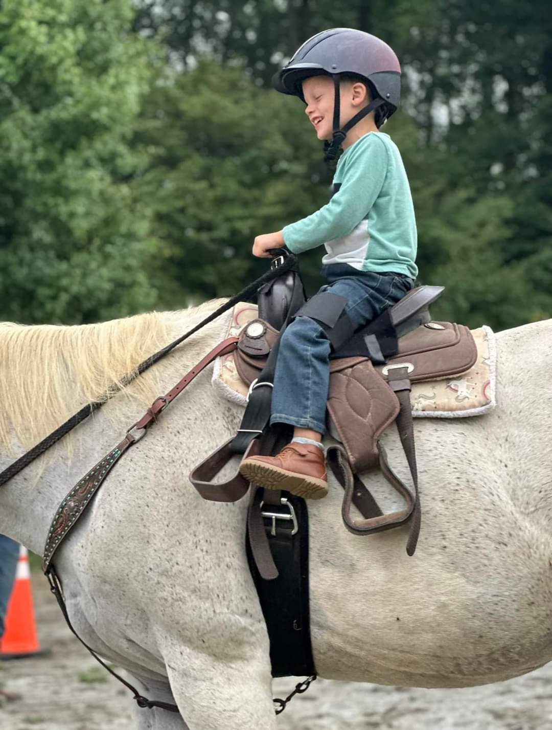 Rock Springs, LLC - Becky Rock | Visit Grayson County Virginia