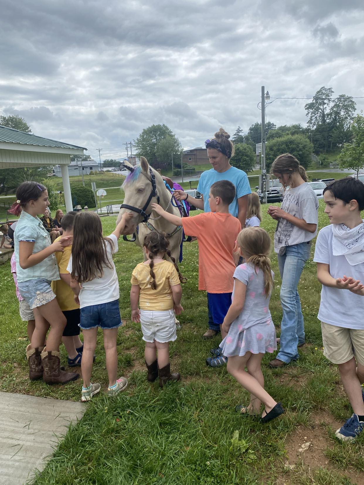 Rock Springs, LLC - Becky Rock | Visit Grayson County Virginia