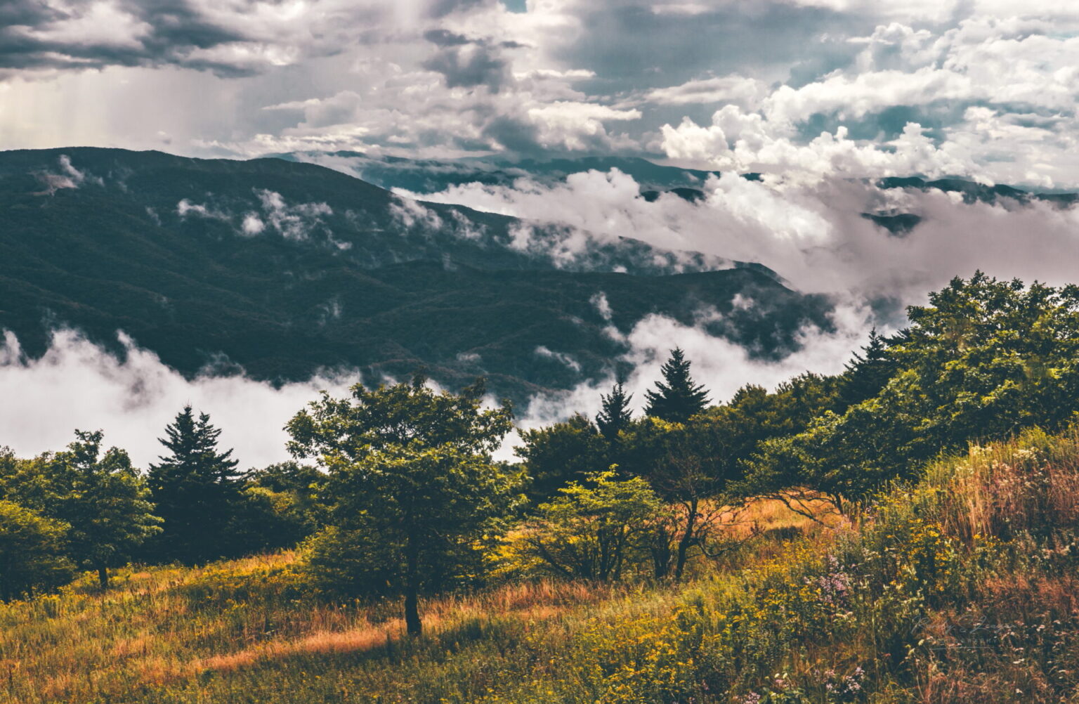 Explore Grayson | Visit Grayson County Virginia